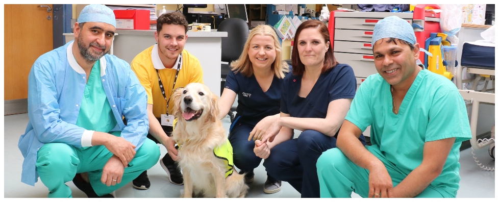 Saolta University Health Care Group